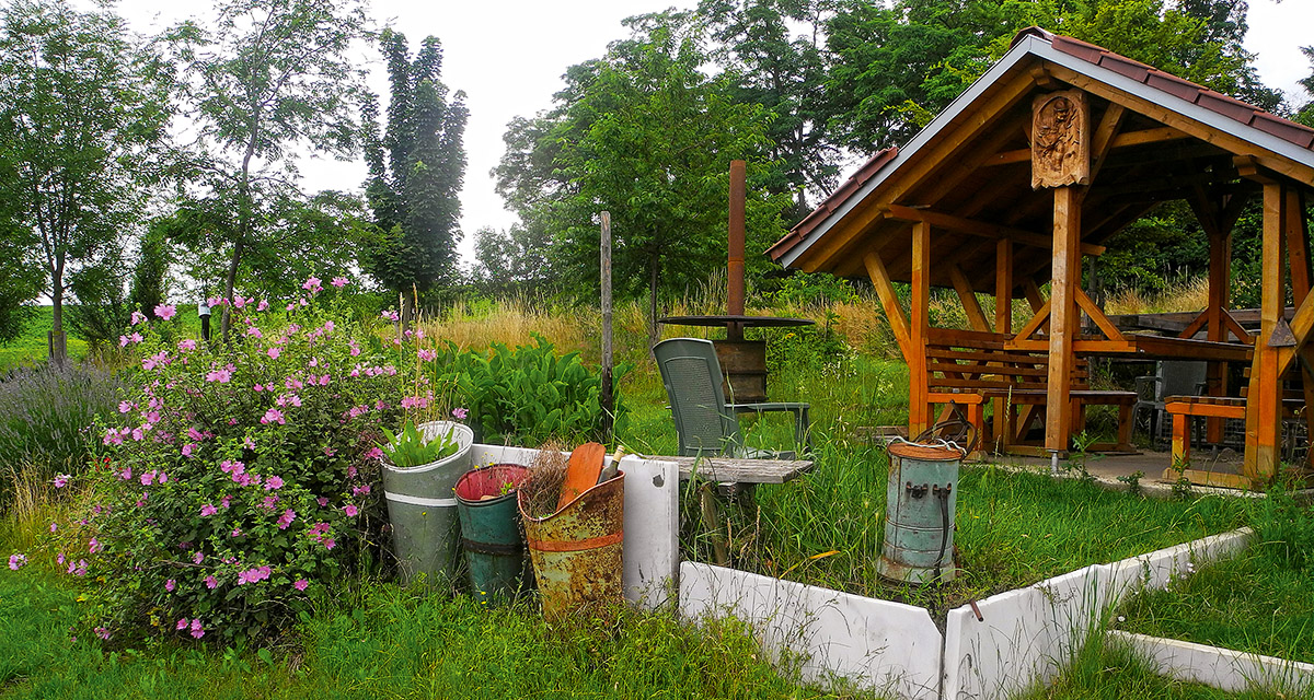 Biblischer Weinpfad in Partenheim - DER MAINZER